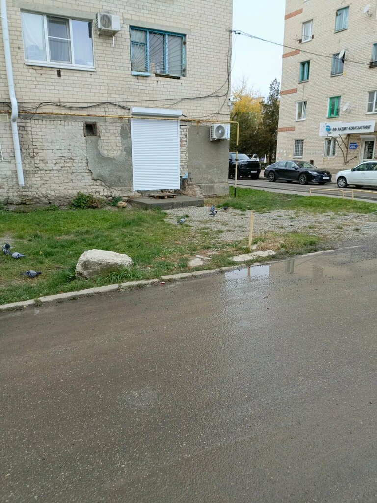 Kırtasiyeler Lit-Nevinnomyssk, Nevinnomissk, foto