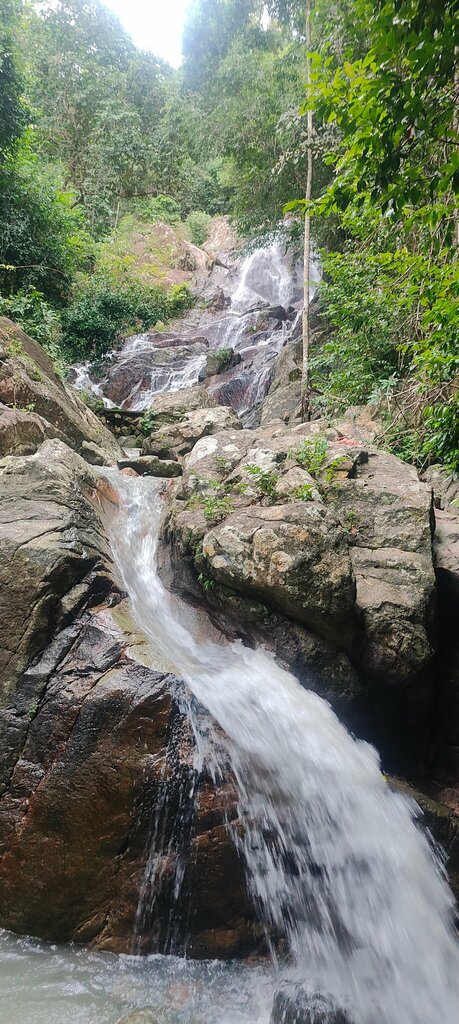 Kafe Tree Bridge Coffee, Samui, foto