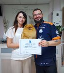 Cosmodog (Juryja Alieshy Street No:49, Grodna), evcil hayvan kuaförleri  Grodno'dan