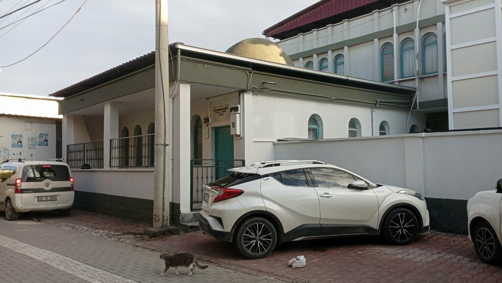 Cami Şeyh Ali Süvayri Ziyareti, Adana, foto