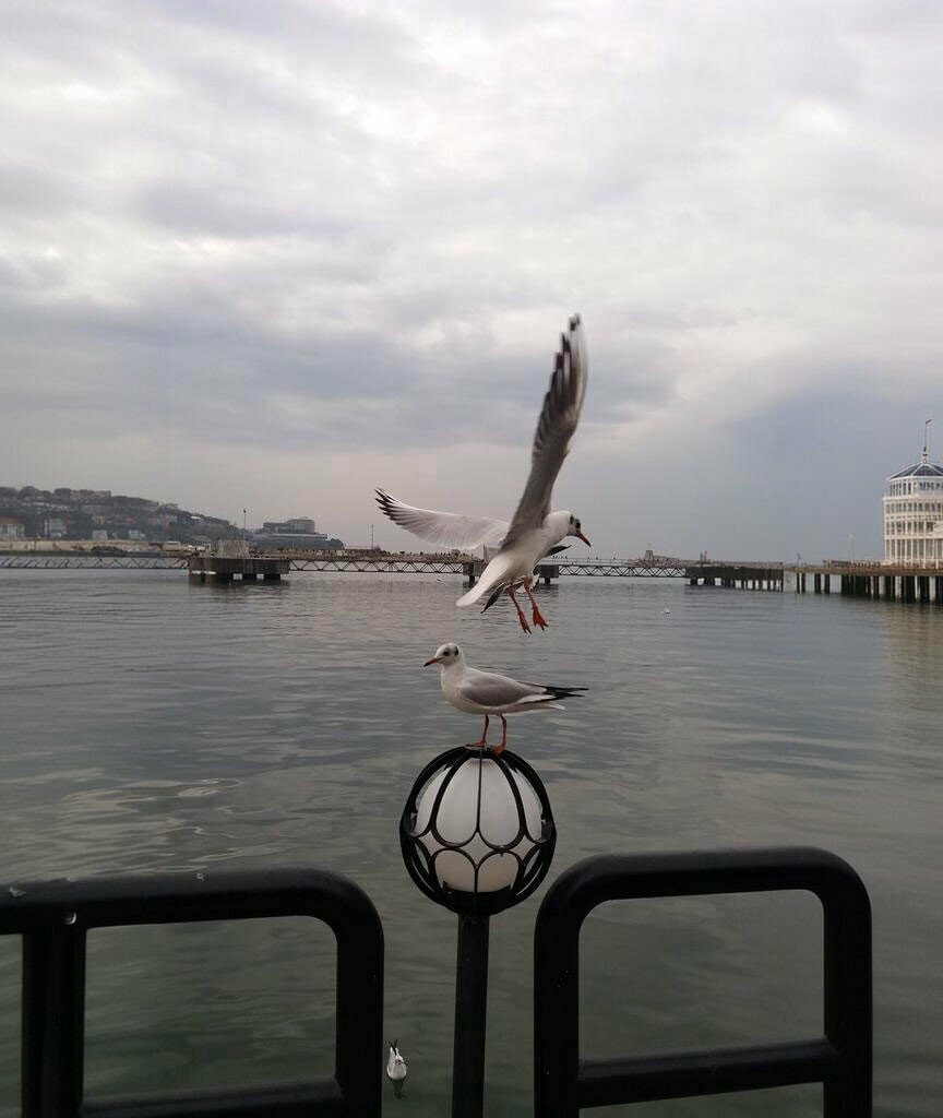 Kafe Zonguldak Sahil Cafefe, Zonguldak, foto