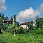 Yıldızeli Köy Muhtarlığı (Yıldızeli Köyü Çayeli Rize), muhtarlıklar  Çayeli'nden