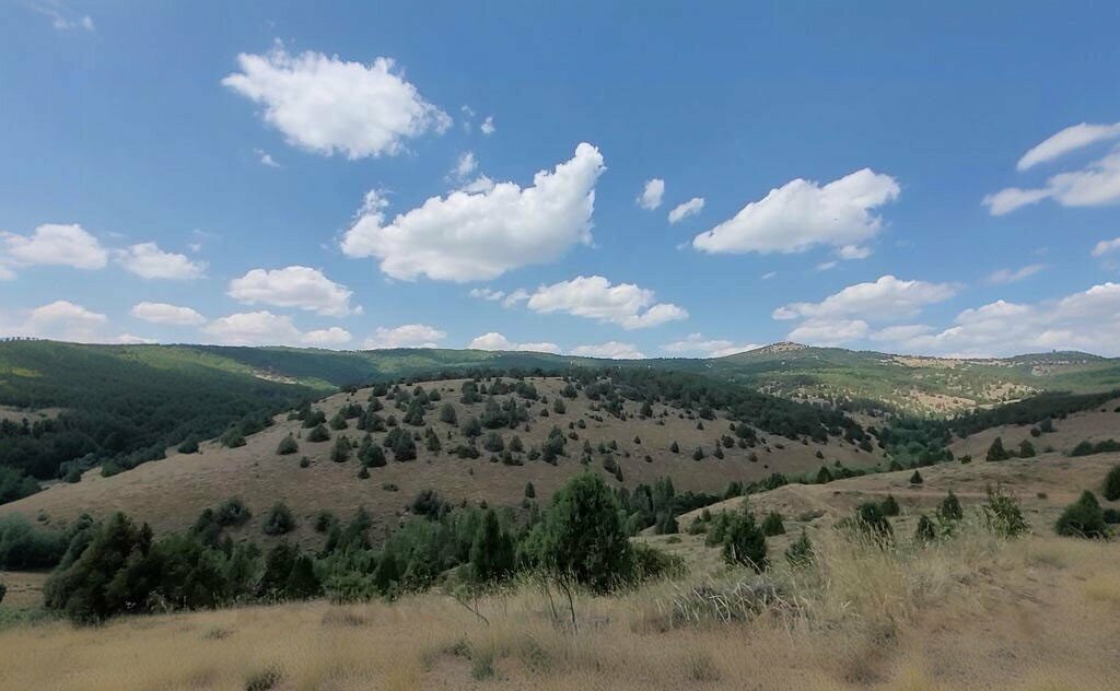 Muhtarlıklar Söbeçimen Köy Muhtarlığı, Çayıralan, foto