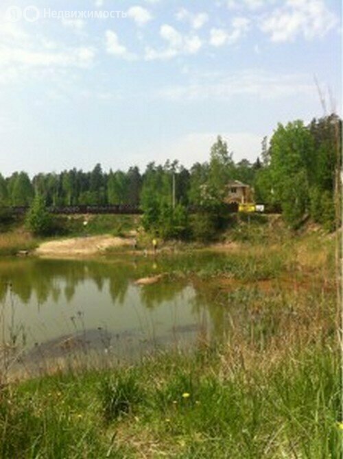 Yazlık yerleşim Алексеевские сосны, Moskova ve Moskovskaya oblastı, foto