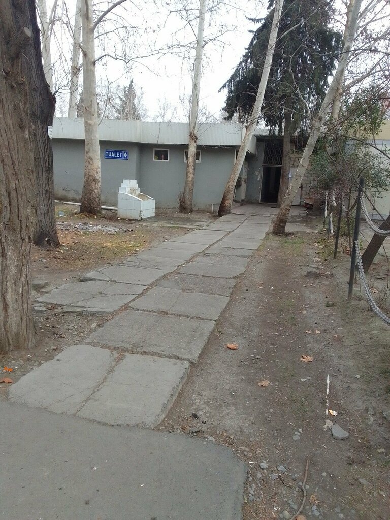 Tuvalet İctimai Tualet, Mingeçevir, foto