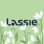 Lassie (Krasnoproletarskaya Street No:16с2), yönetim ofisi  Moskova'dan