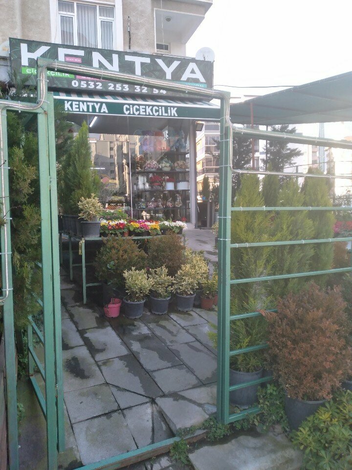 Çiçekçiler Kentya Çiçekçilik, İstanbul, foto