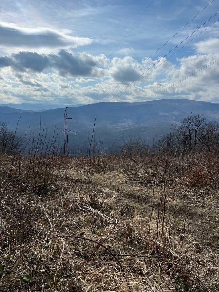 Orman урочище Богатырские пещеры, Krasnodarski krayı, foto