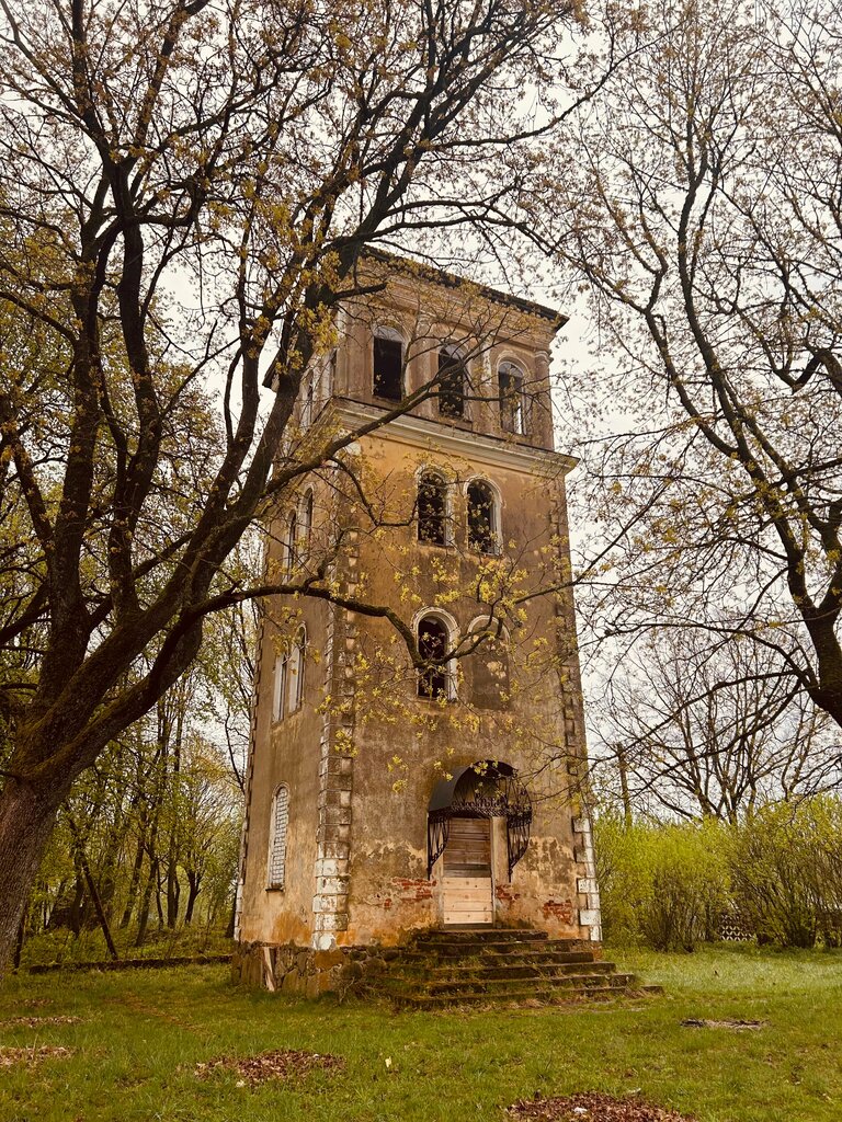 Turistik yerler Развалины замка, Grodnenskaya oblastı, foto