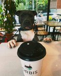 Orbis Coffee (İstanbul, Kadıköy, Caddebostan Mah., Haldun Taner Sok., 16A), kahve dükkanları  İstanbul'dan