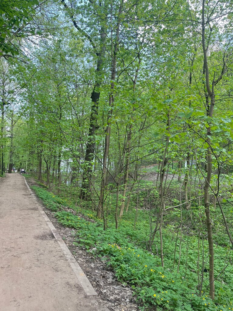 Pınar, çay Spring, stream, Moskova, foto