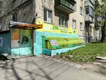 Zoomagazin (Baykalskaya Street No:40), petshop  Çeliabinsk'ten