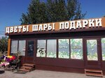 Flowers (Moscow Region, 46K-9100), çiçekçiler  Moskova ve Moskovskaya oblastından