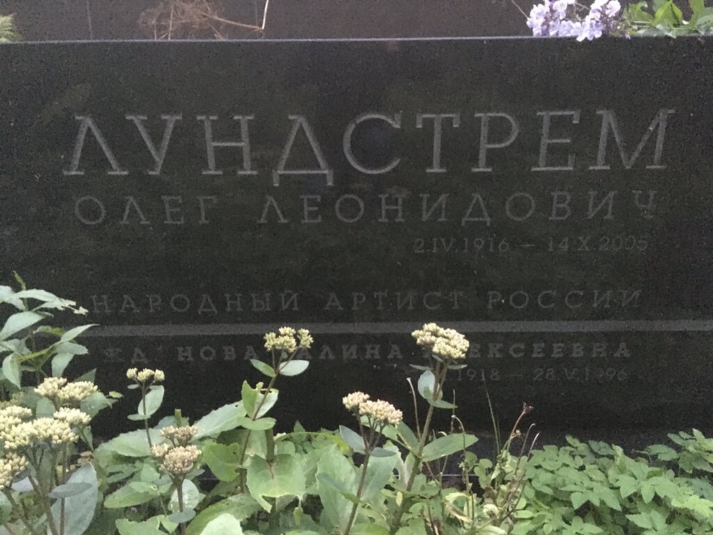 Mezarlıklar Образцовское кладбище, Moskova ve Moskovskaya oblastı, foto