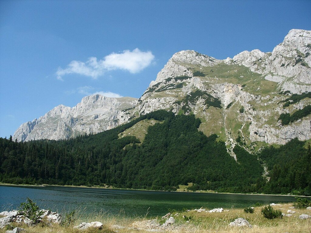 Dağ zirvesi Maglic 2387 meters, Dünya, foto
