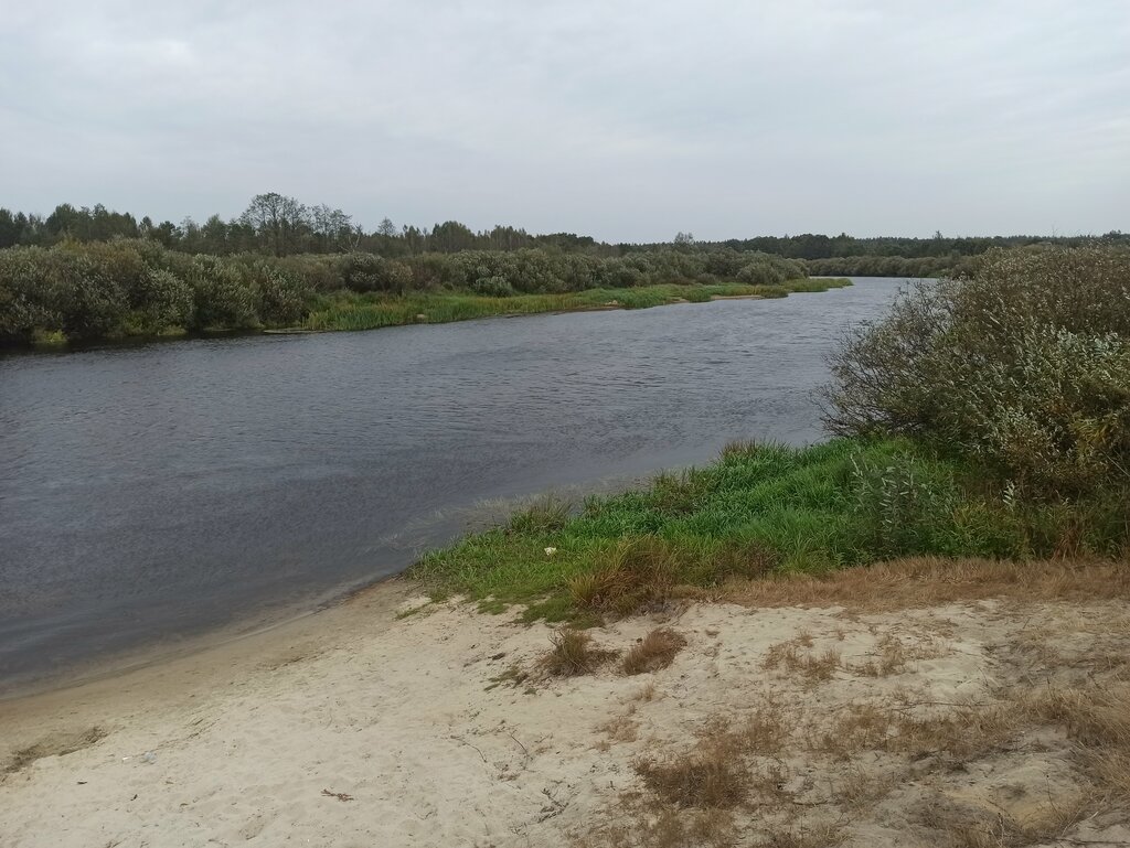 Plaj Пляж, Brianskaya oblastı, foto