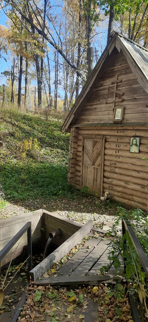 Pınar, çay Родник Евлейка, Penzenskaya oblastı, foto