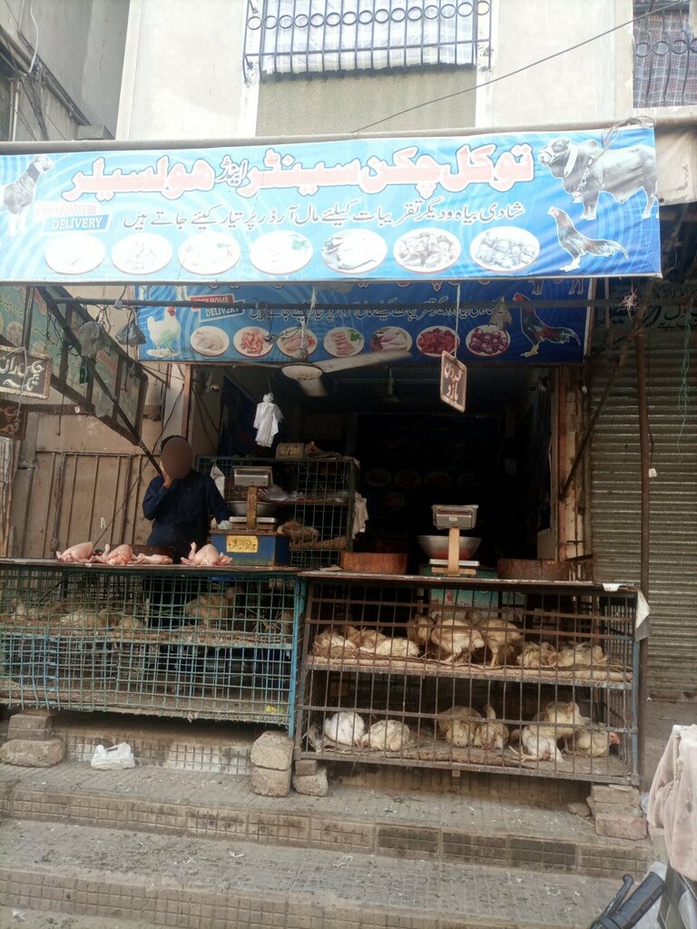 Kanatlı hayvan ürünleri ve yumurta Tawakkall chicken center, Karaçi, foto