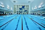 Hamilton Aquatics (Detroit Building, Al Hebiah 1, Dubai Land, Dubai), yönetim ofisi  Dubai'den