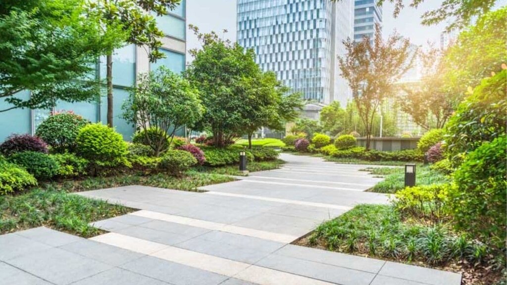 Peyzaj tasarımı Triad Landscaping, Dubai, foto