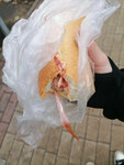 Минутка (Voronezh Region, Liski, 1-ya Parkovaya ulitsa), fast food  Liski'den