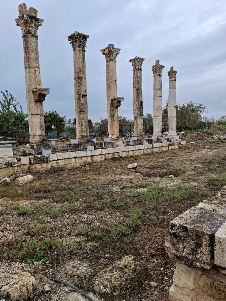 Müzeler ve sanat galerileri Soli Pompeiopolis Kazı Evi, Mersin, foto