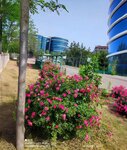 Karabük Eğitim ve Araştırma Hastanesi (Şirinevler Mah., Alparslan Cad., No:1, Karabük Merkez, Karabük), hastaneler  Karabük'ten