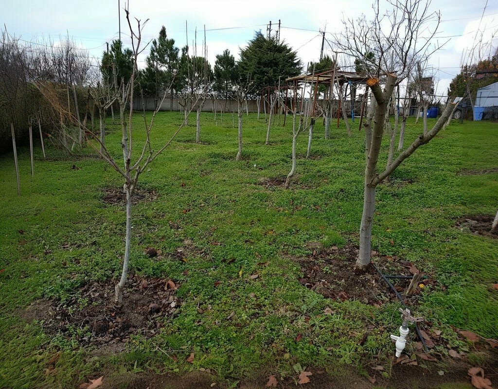 Kültür ve eğlence parkları Şehit Er Haldun Aydın Çocuk Parkı, Silivri, foto