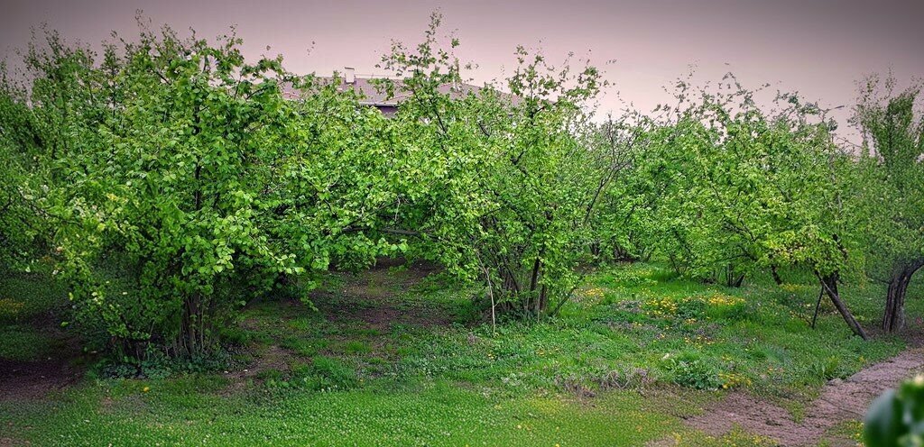 Makina mühendisliği firmaları Teknik Makine, Düzce, foto