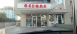 Çelik Eczanesi (Derebahçe Mah., Kafkas Cad., No:114, İlkadım, Samsun), eczaneler  Samsun'dan