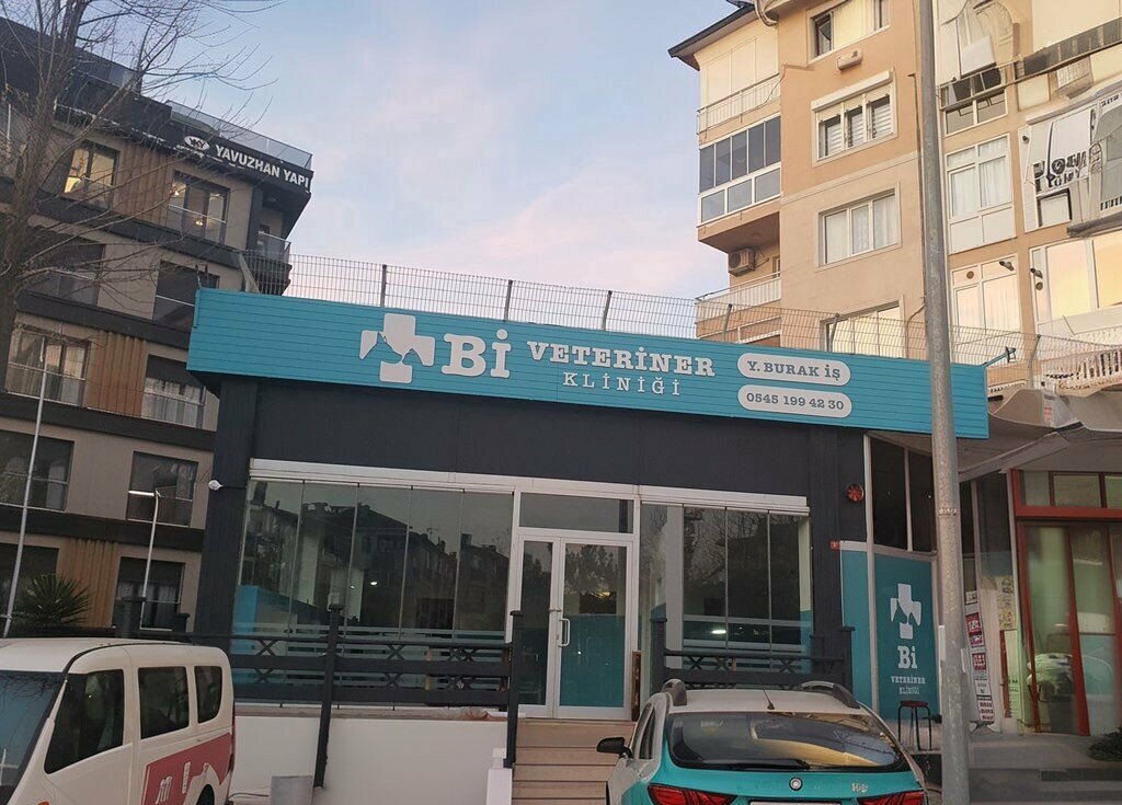 Veteriner klinikleri Bi Veteriner Kliniği, İstanbul, foto