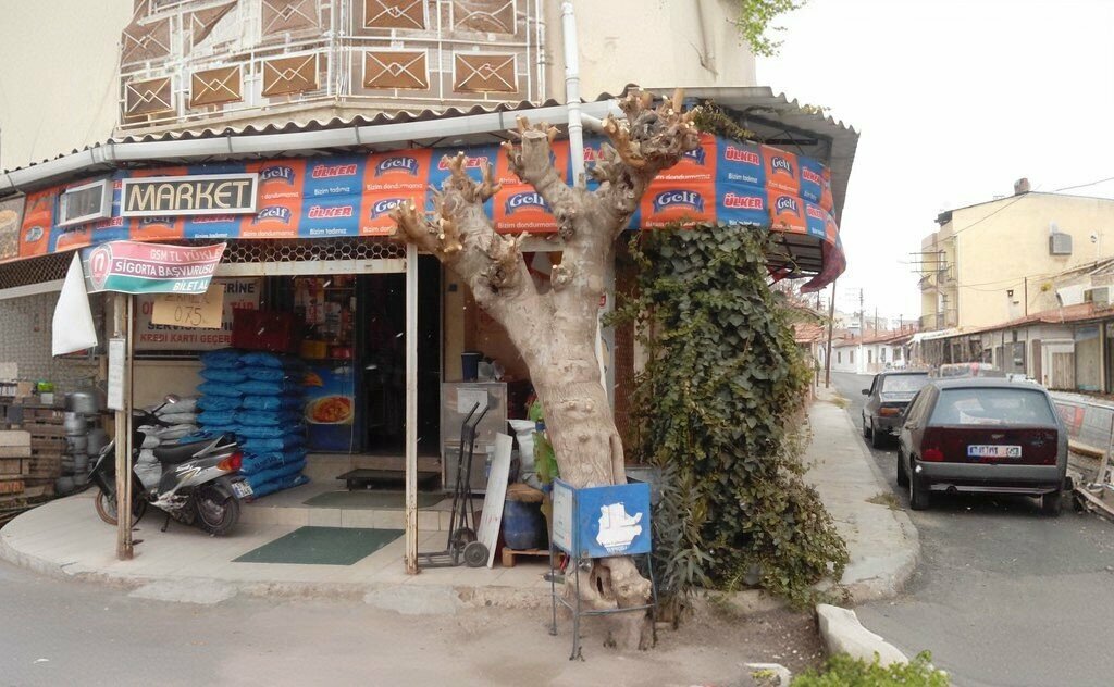 Gıda üreticileri Önlü Gıda, Akhisar, foto