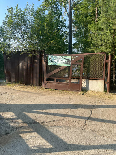 Resort oteller, tesisler Лесная, Ust‑Ilimsk, foto