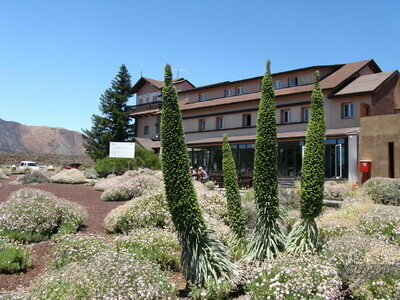 Volkan Pico del Teide 3718 meters, Kanarya Adaları, foto