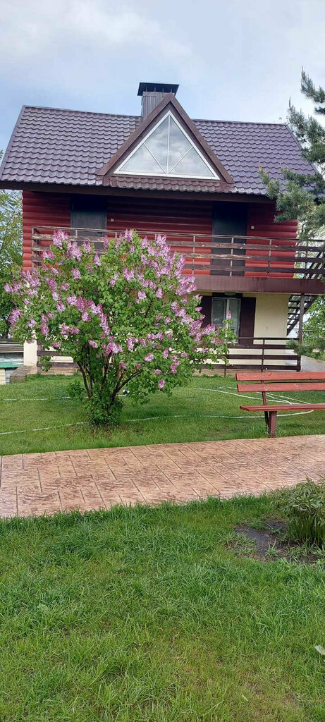 Resort oteller, tesisler База отдыха Строитель, Saratovskaya oblastı, foto