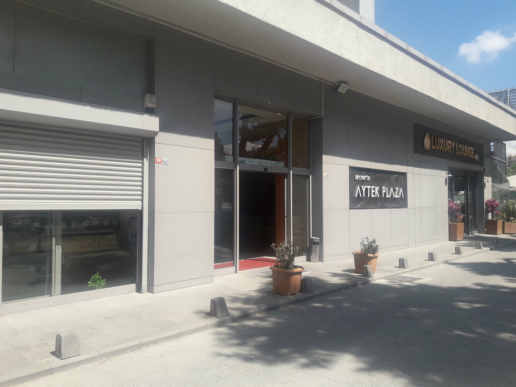 Otomobil servisi Opel Elektronik - Talat Usta, İstanbul, foto