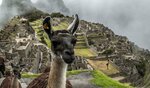 Top Inka Travel (Provincia del Cusco, Cusco), seyahat acenteleri  Cusco'dan