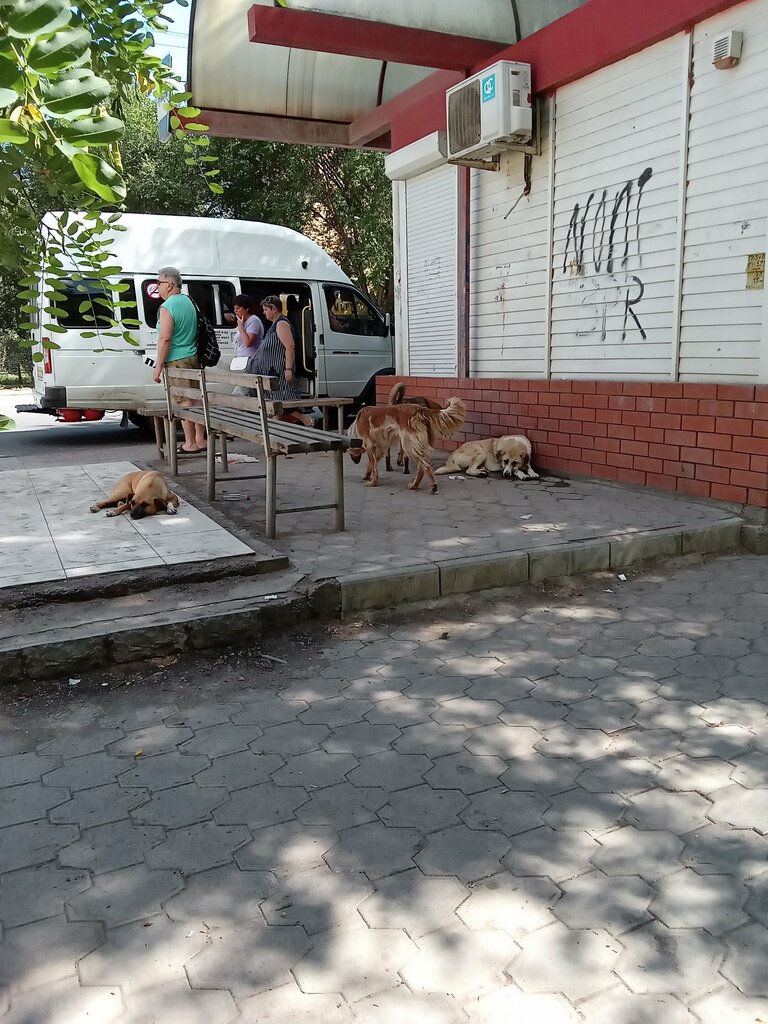 Park, sokak heykeli Трусовский район, Astrahan, foto