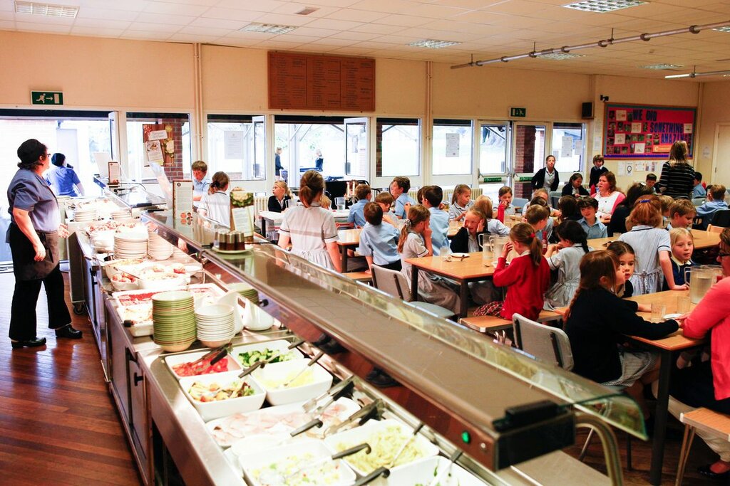 Gıda üreticileri Tnc Catering, Ankara, foto