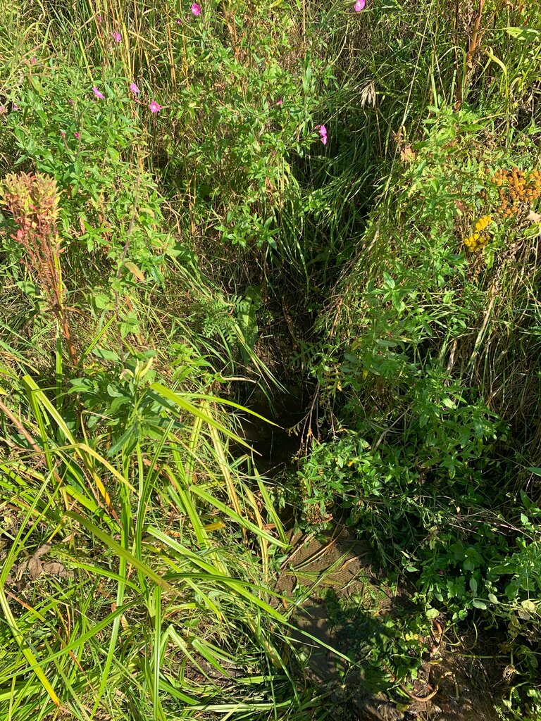 Pınar, çay Spring, stream, Moskova, foto