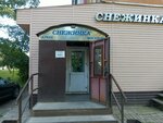 Snezhinka (Nursultan Nazarbaev Avenue No:11/2), market  Öskemen'den (Ust‑Kamenogorsk'tan)