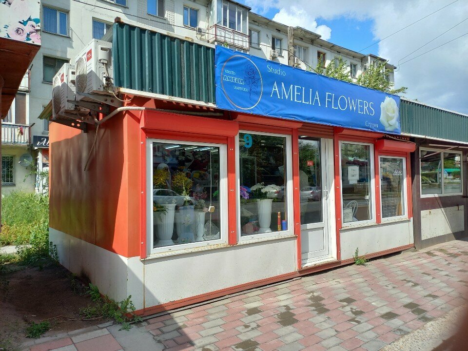 Çiçekçiler Amelia, Semey, foto