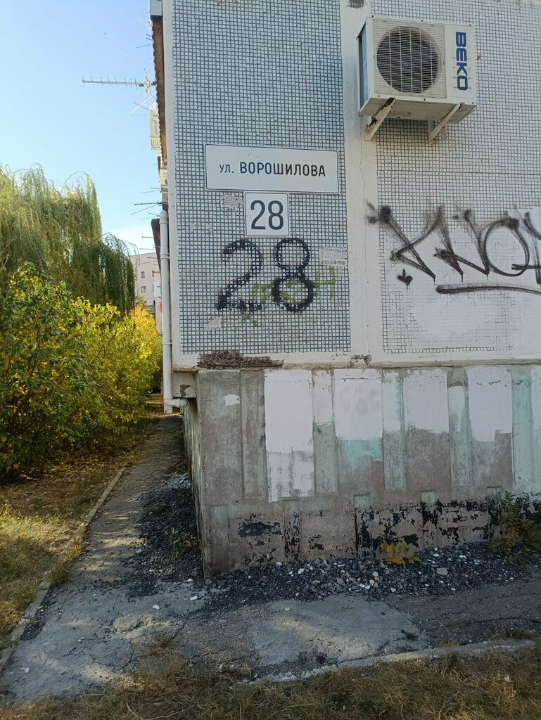 Evcil hayvan yetiştiricileri Plemennoy pitomnik Filmers, Novokuybyşevsk, foto