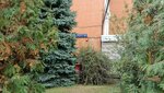 Sotovich (Khovanskaya Street No:6), telefon tamir servisi  Moskova'dan