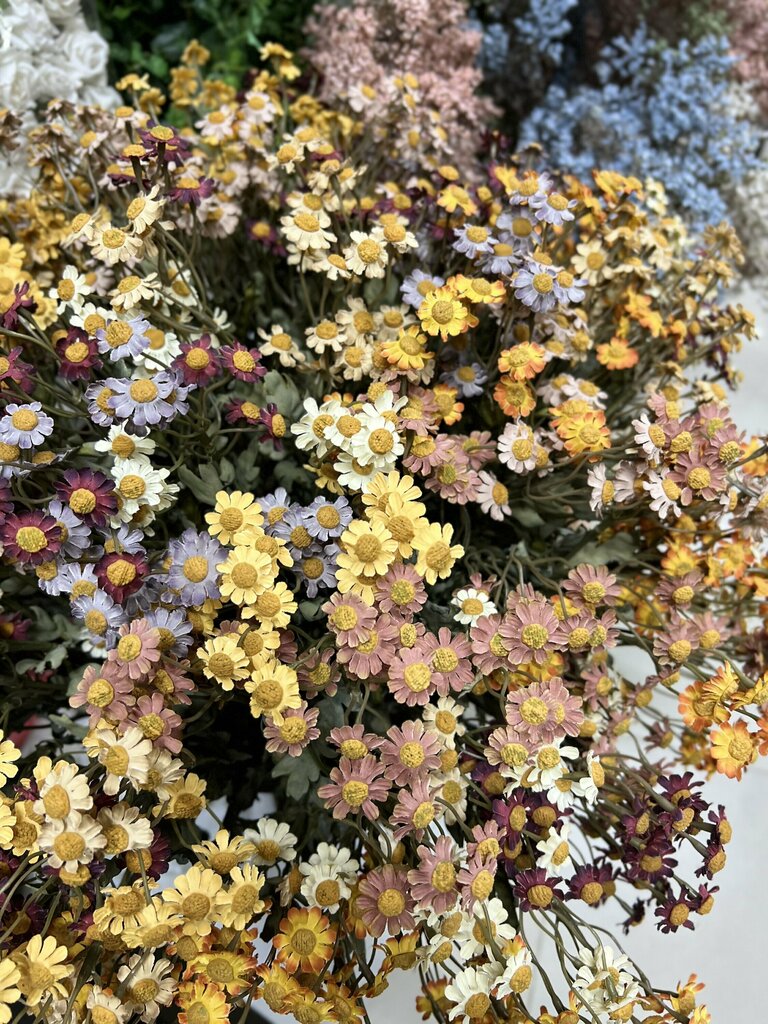 Yapay bitki ve çiçek Solnechnyy sad, Krasnodar, foto