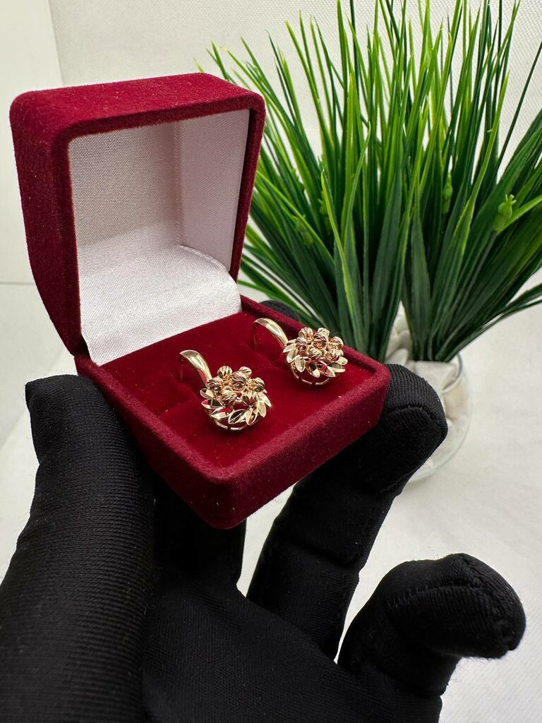 Rehincilik Ломбардис, Krasnoyarsk, foto