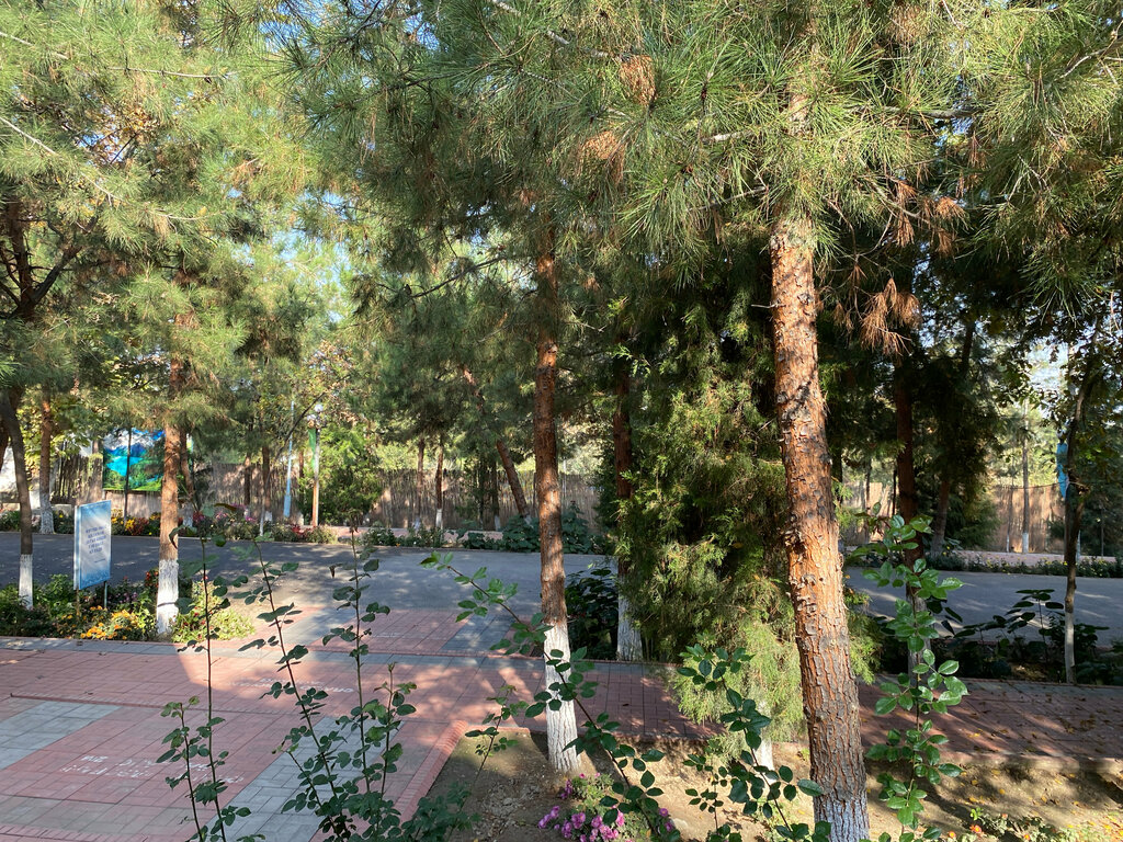 Resort oteller, tesisler Arsif, , foto