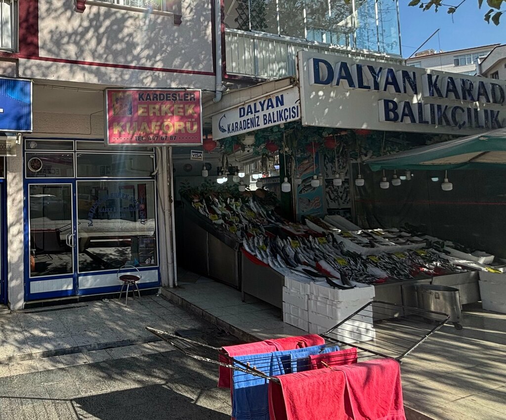 Balık çiftçiliği ve toptancıları Dalyan Karadeniz Balıkçılık, Ankara, foto