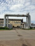 Кызылжар агашы (Iaroslav Gashek joly No:1), kereste üretim ve satış şirketleri  Petropavl'dan (Petropavlovsk'tan)