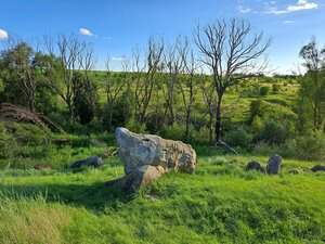 Синие камни (Lipetsk Region, Dankovskiy rayon, Yagodnovskiy selsovet, derevnya Kamenka), doğa  Lipetskaya oblastından